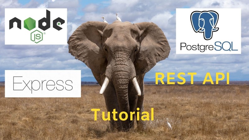 Postgresql Json Javatpoint Node Js Tutorial Build A Simple Rest Api With Express Step Vrogue
